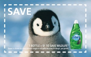 Dawn Helps Save Wildlife #ad | 5 Minutes For Going Green